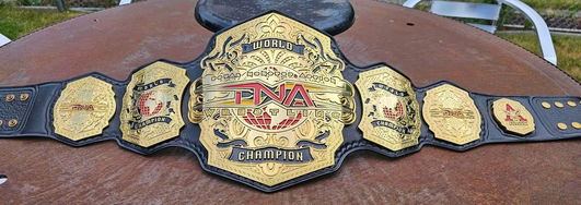Can You Name the TNA Wrestling Champions?
