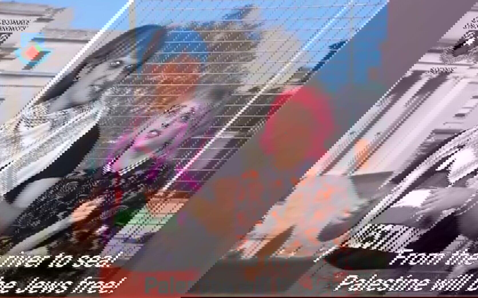 Which Iconic Israeli Meme Are You?