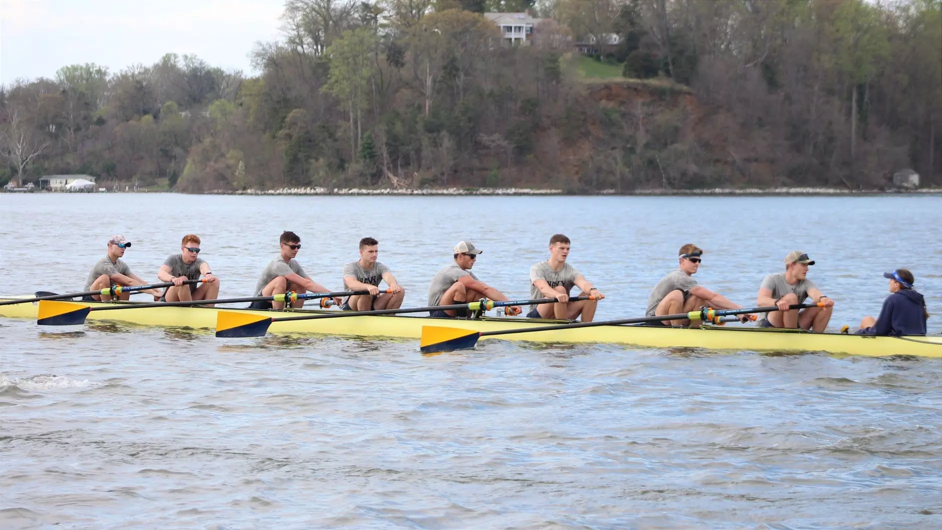 Which Rowing Player Are You?