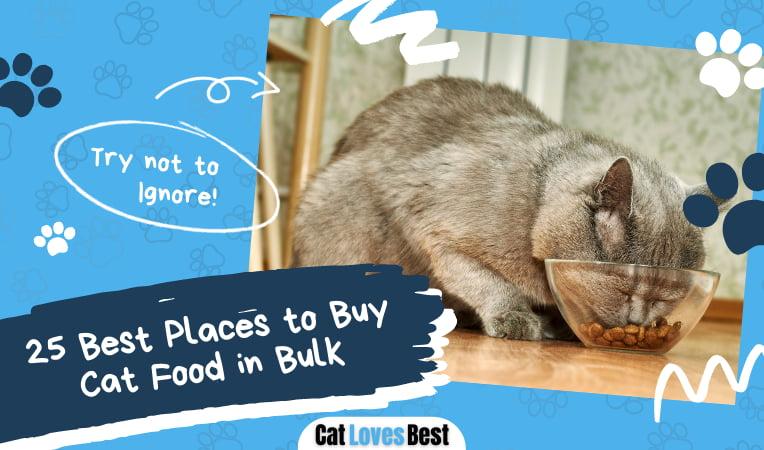 Find Your Perfect Bulk Cat Food Supplier!