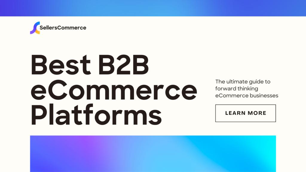 Find Your Perfect B2B eCommerce Platform!