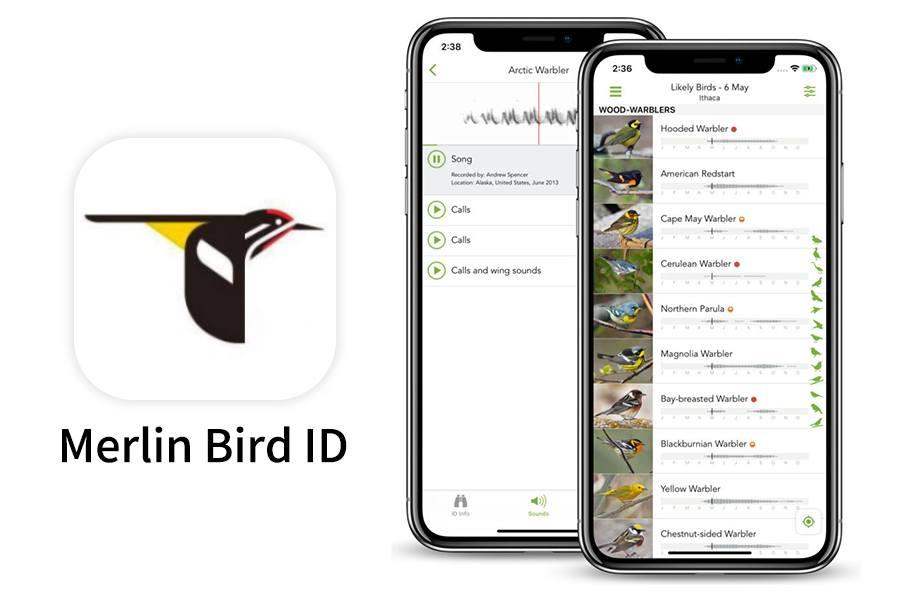 Find Your Perfect Birdwatching Tool!