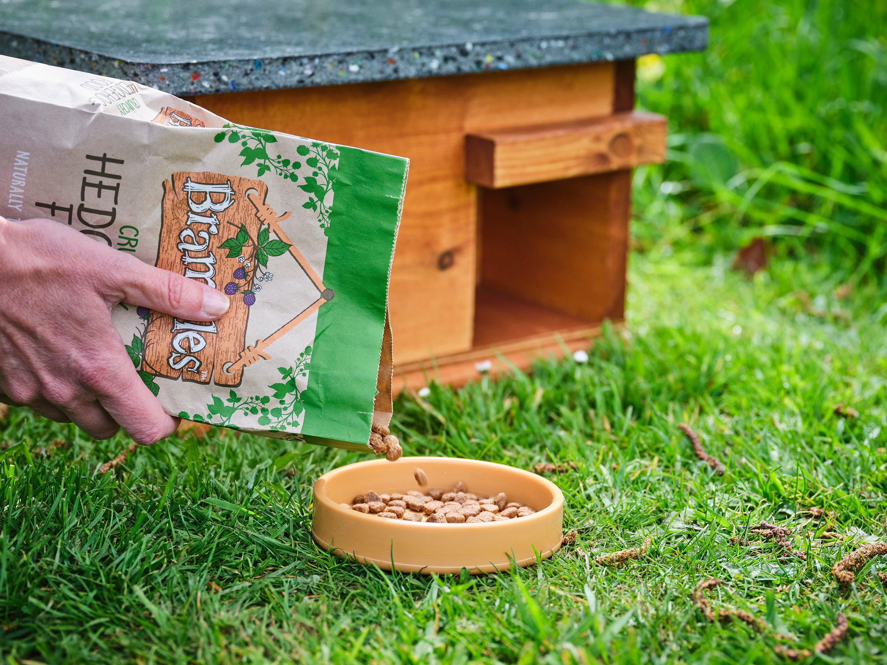 What's Your Perfect Hedgehog Feeding Product?