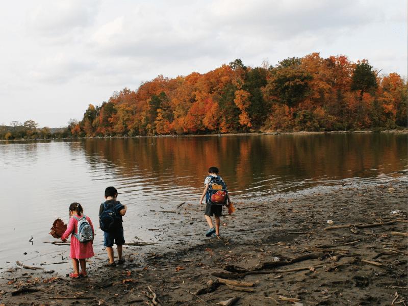 Discover Your Ideal Fall Foliage Spot in Indianapolis!