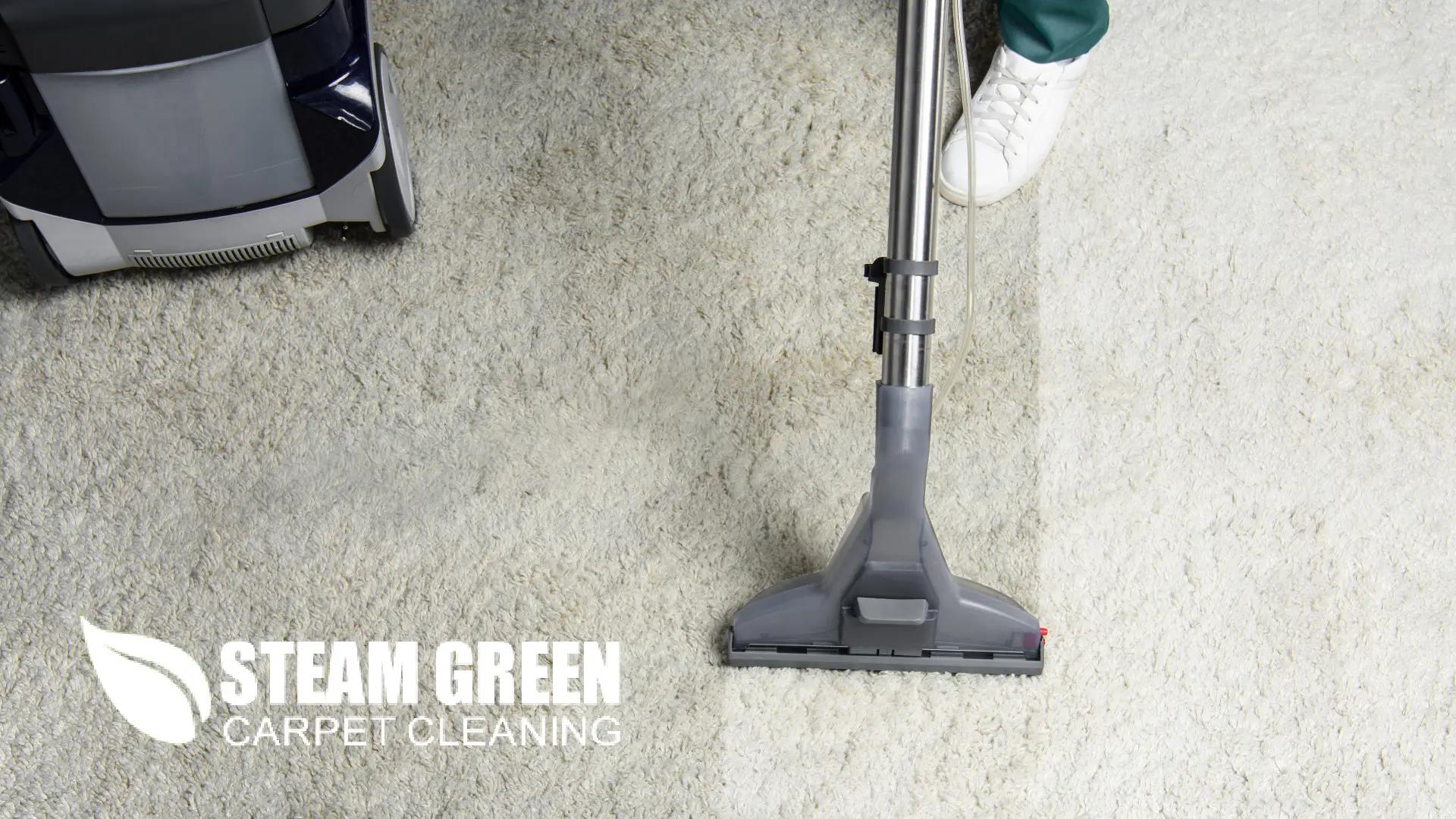 DIY vs. Professional Carpet Cleaning: Which One is Right for You?
