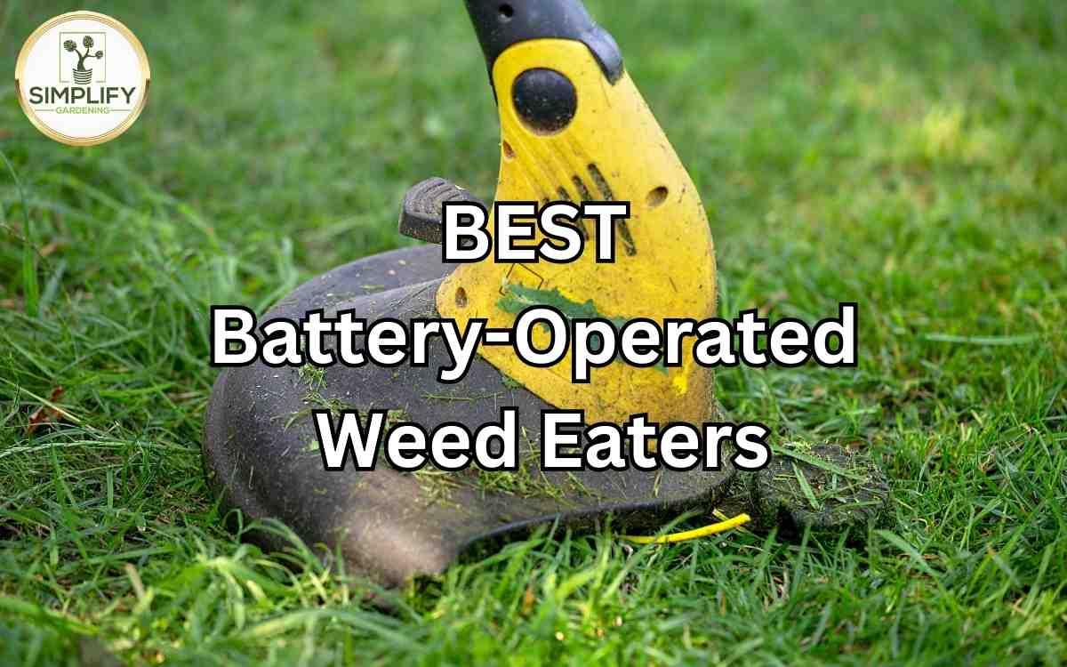 Find Your Perfect Battery-Operated Weed Eater!