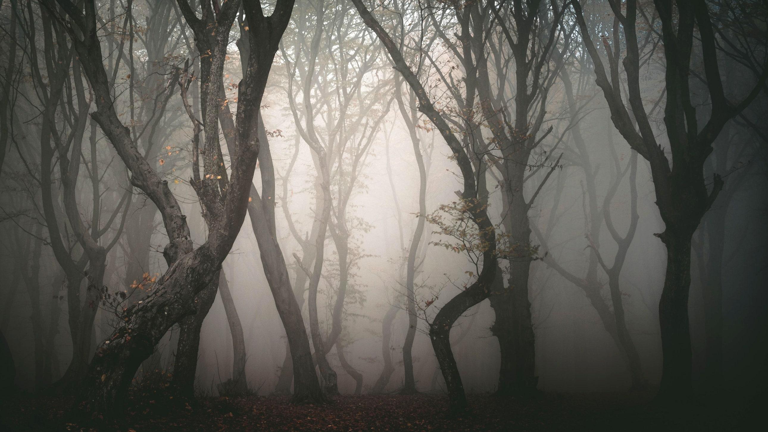 Discover Your Perfect Haunted Getaway