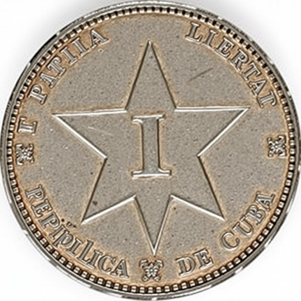 Shining Legacy: Silver Coin with Star Motif