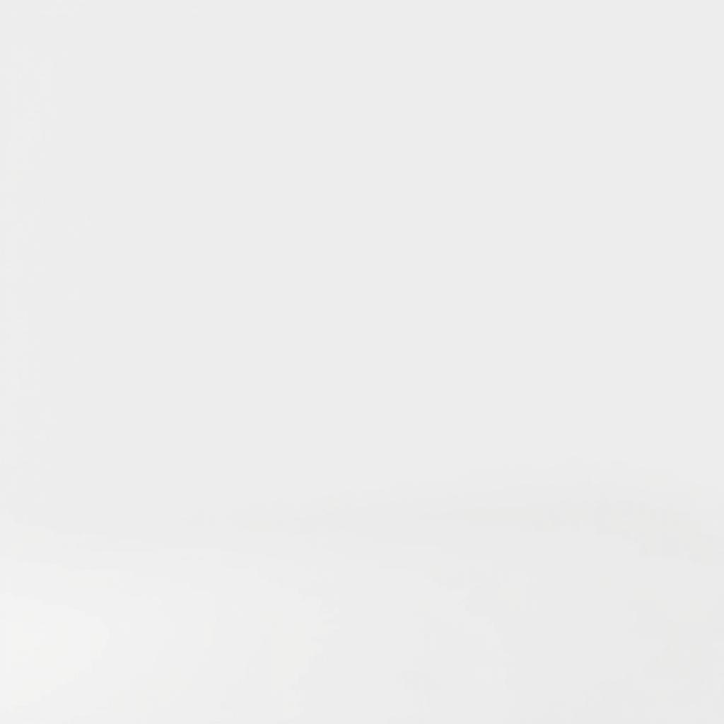 Embrace Simplicity: Pure White Minimalism
