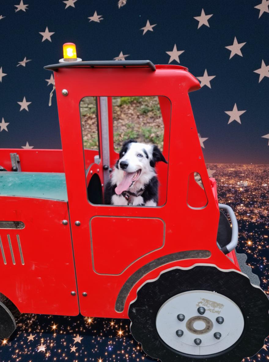 Playful Pup in Red Toy Tractor | Captivating Park Scene