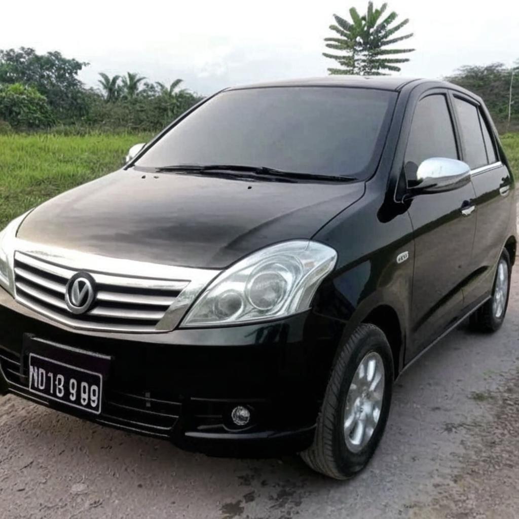 Sleek Black Toyota Avanza in Serene Rural Setting