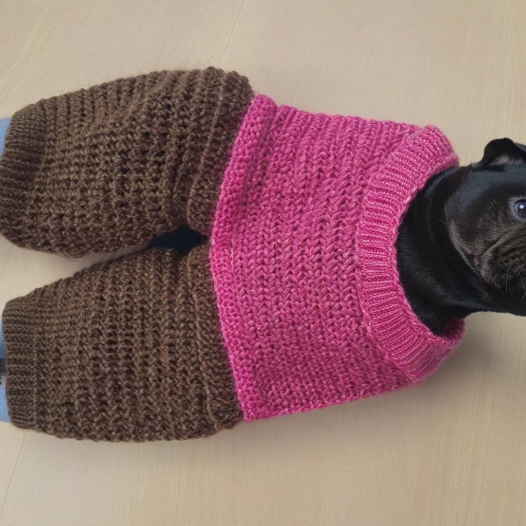 Adorable Brown and Pink Dog Sweater for Small Breeds | Cozy Pet Fashion