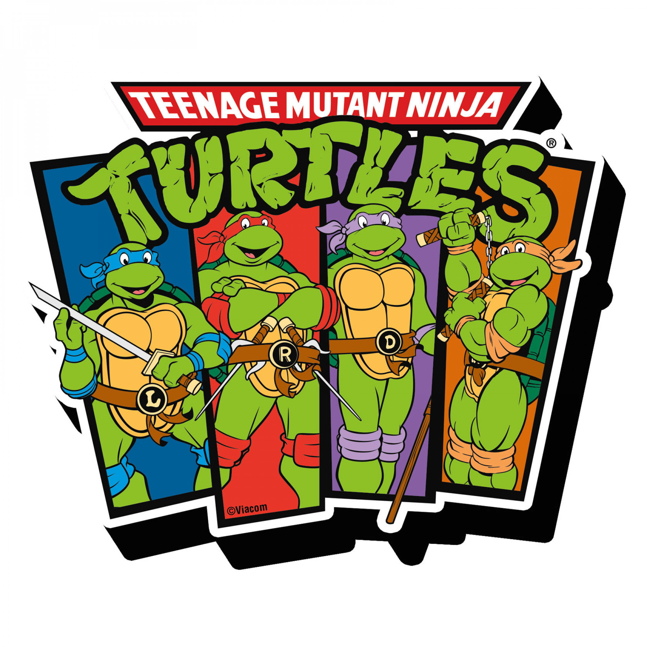 Which TMNT Character Duo Are You?